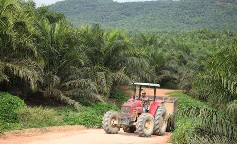 Lowongan Kerja PT Sawit Sumbermas Sarana Tbk